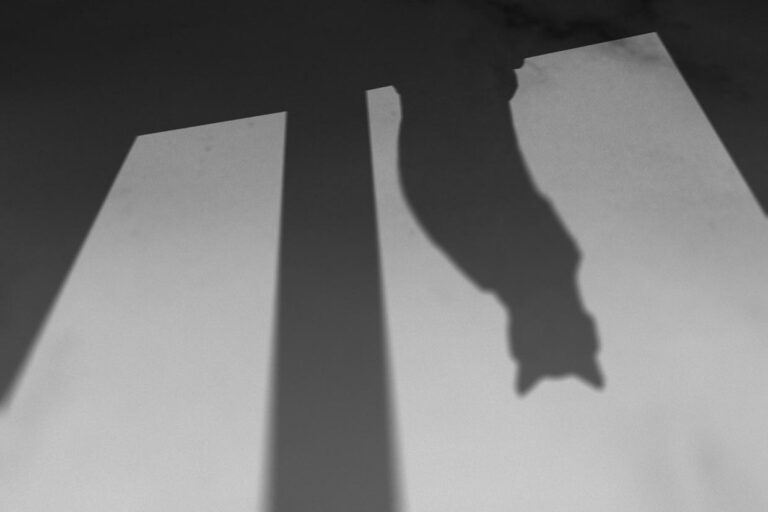 Light And Shadow Photography: 13 Terrific Tips And Techniques ...