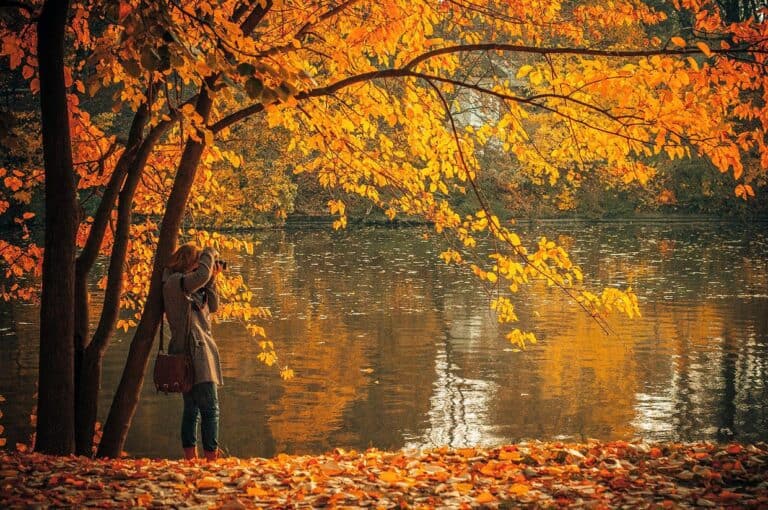 Master Autumn Photography: Ideas, Tips & Types