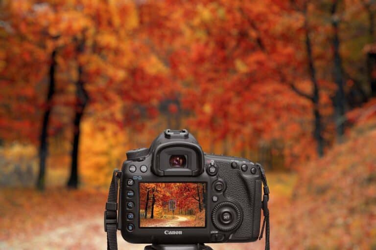 Master Autumn Photography: Ideas, Tips & Types