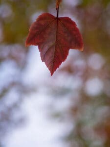 Minimalist Photography Guide: Styles, Tips And Photographers