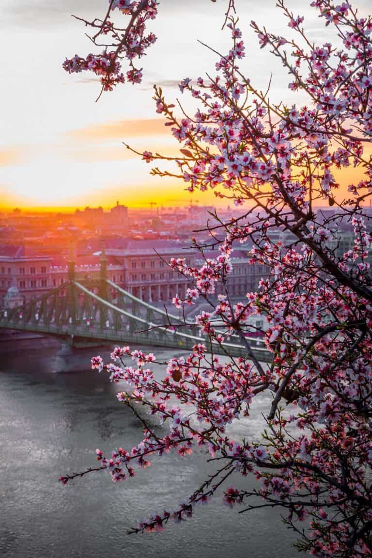 Sunset Photography Guide: Styles, Tips And Photographers