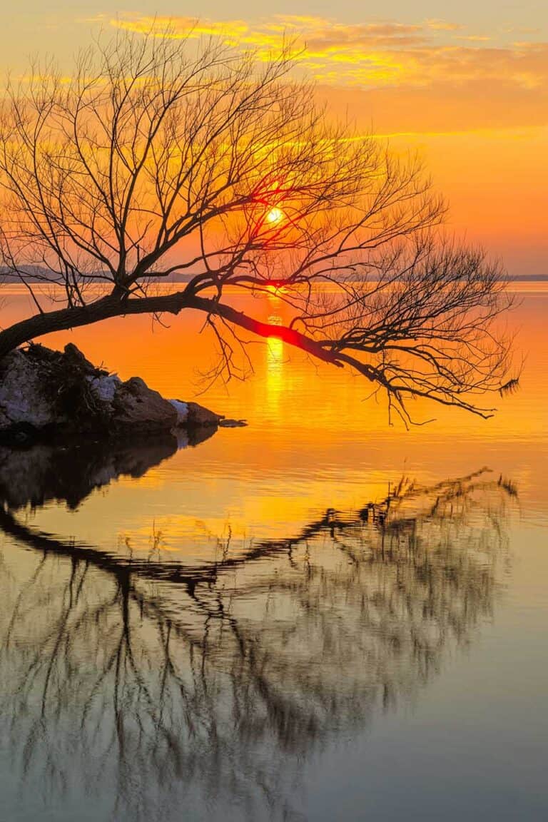 Sunset Photography Guide: Styles, Tips And Photographers