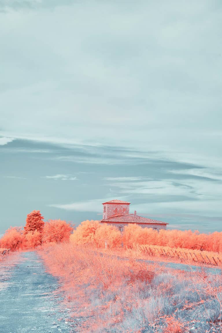 Infrared Photography Guide: Styles, Tips And Photographers