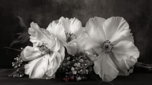 Flower Still-Life Photography Ideas: 30 Stunning Sparks