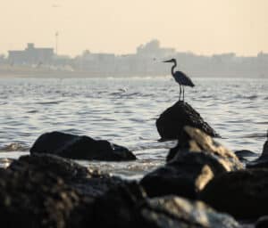 Composition In Photography: 27 Styles And Tips