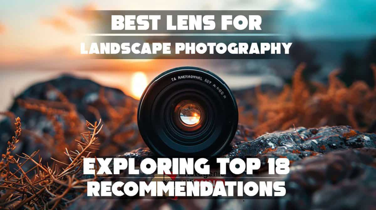 Best Lens For Landscape Photography: 18 Recommendations