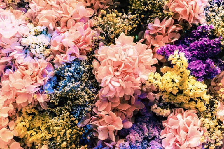 Flower Photoshoot Ideas: 30 Stunning Sparks - Photogenic Mind