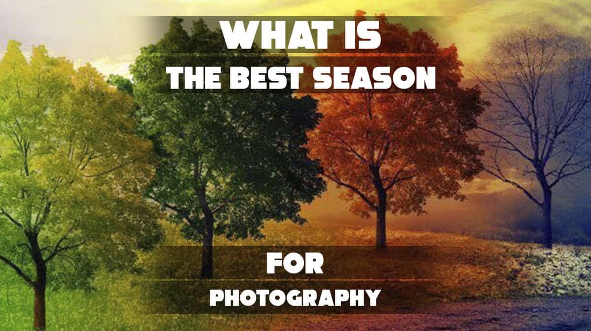 What Is The Best Season For Photography?