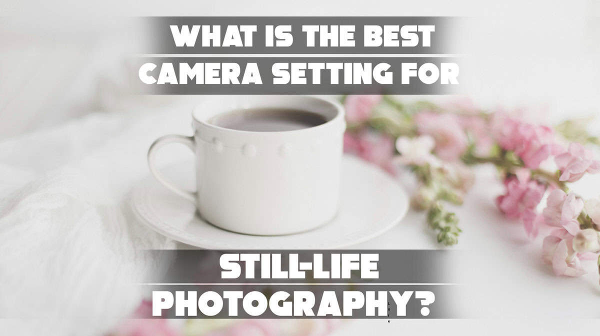 What Is The Best Camera Setting For Still-Life Photography?