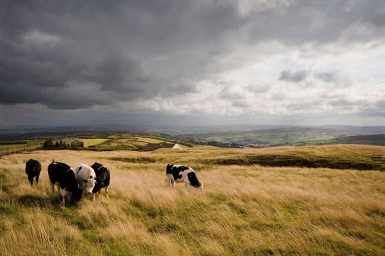 How To Make Landscape Pictures Look Good: 10 Tips And Tricks