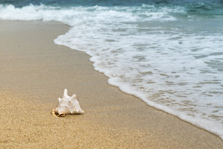 How To Photograph A Beach? 10 Key Factors