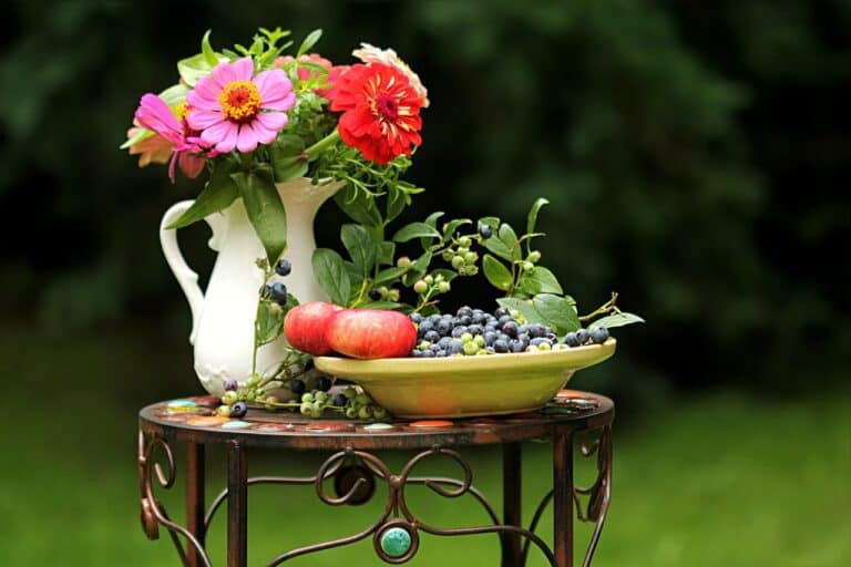 How Do You Arrange Still-Life Photography: 8 Expert Tips