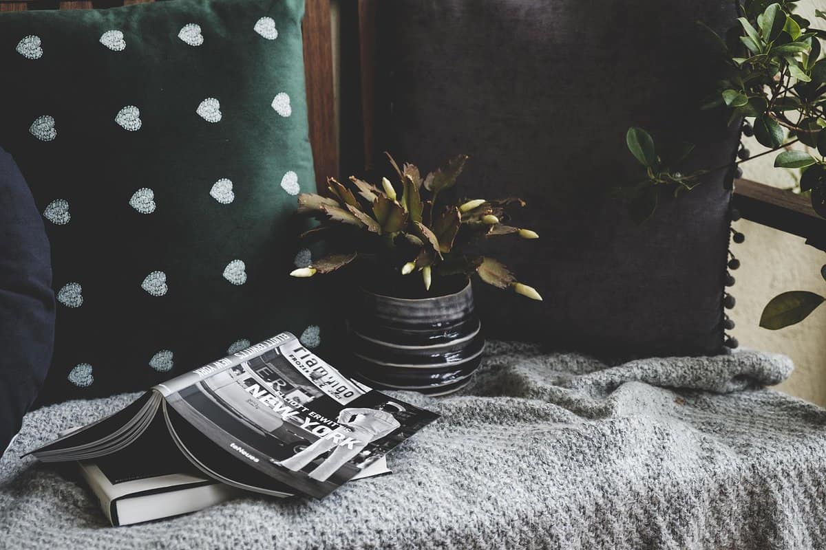 20 Photography Trends In 2024: What’s New And Next