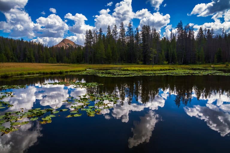 Lake Photoshoot Ideas: 7 Stunning Sparks