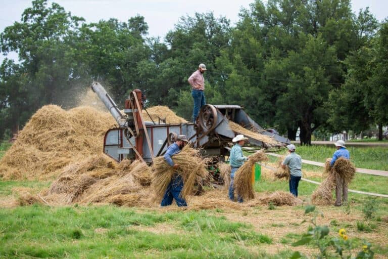 Farm Photoshoot Ideas: 10 Inspiring Sparks To Try Today