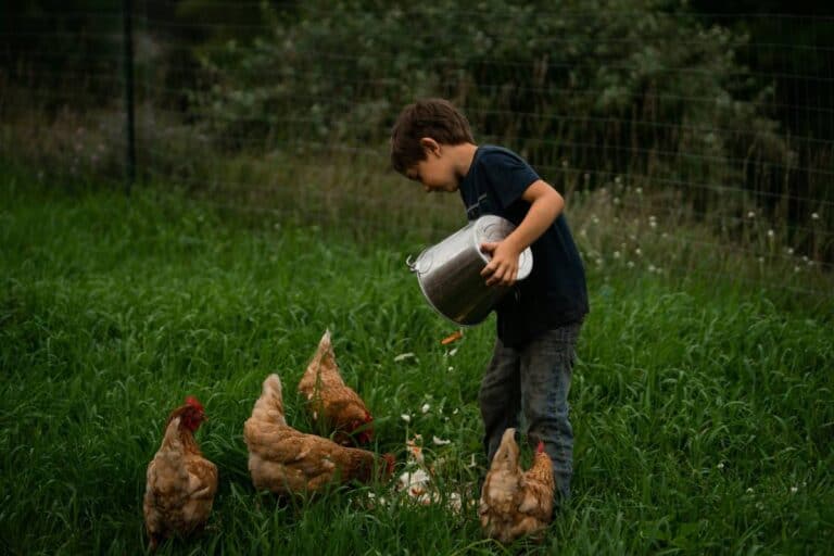 Farm Photoshoot Ideas: 10 Inspiring Sparks To Try Today