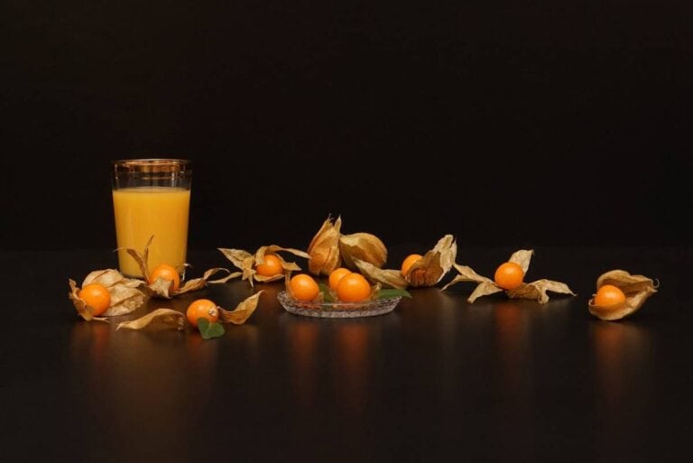 Simple Still Life Photography: 4 Tips And Tricks
