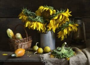 Simple Still Life Photography: 4 Tips And Tricks